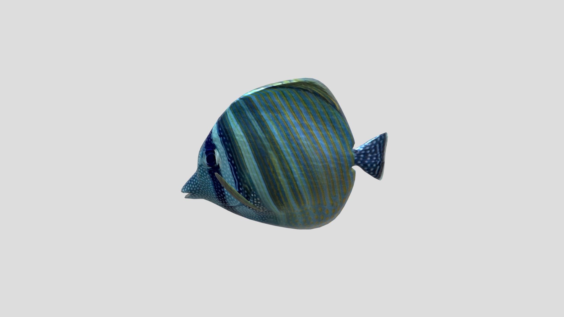 Blue and Yellow Tropical Fish - 3D model by ironmania2004 [5bcf636 ...