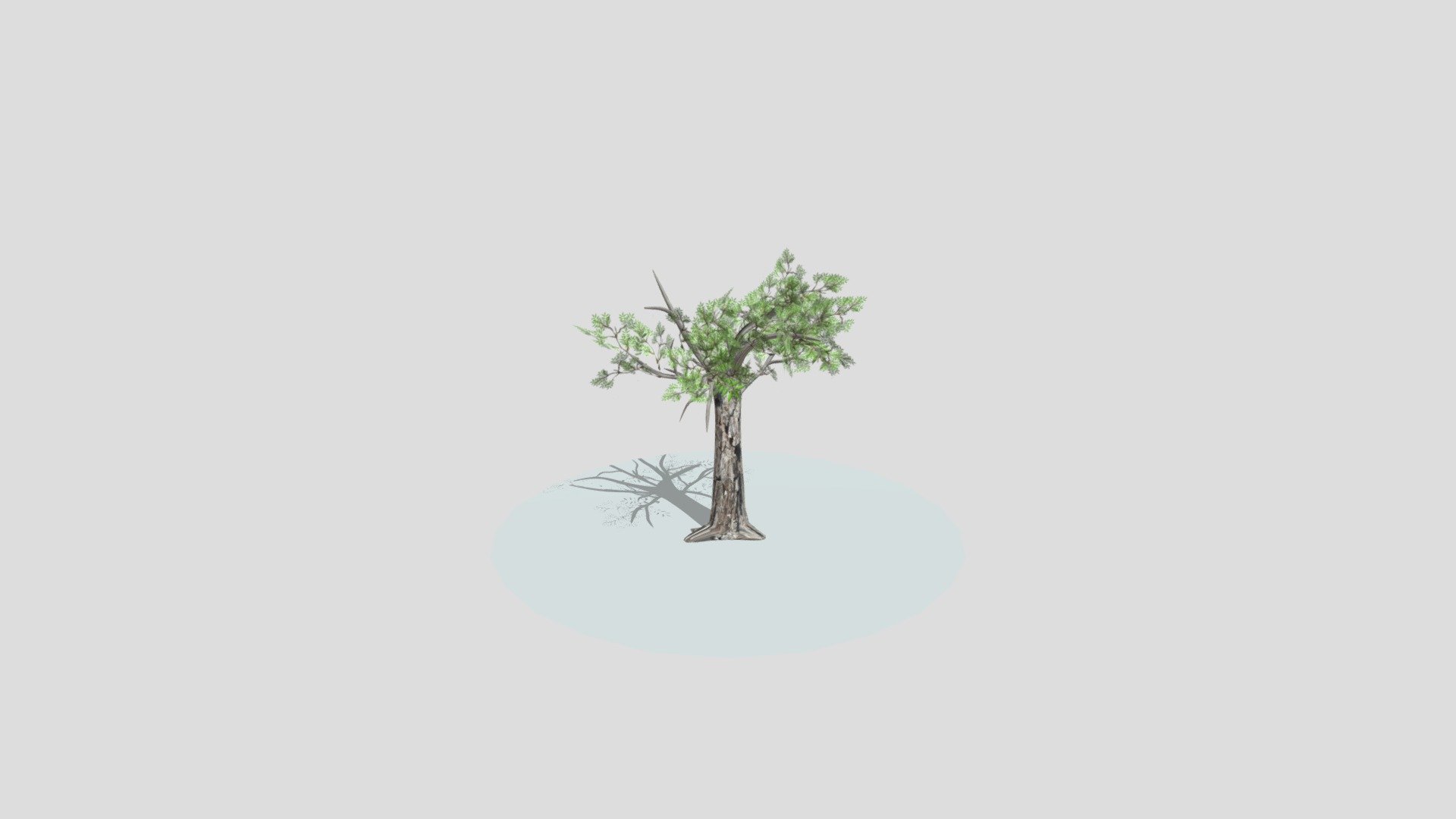 Tree With Branch Falling - Download Free 3D model by cntorres [5bd8d8b ...
