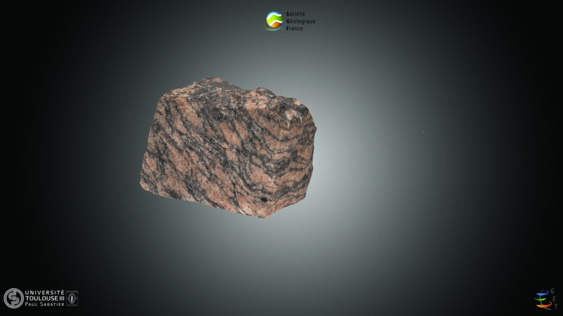 Roche - Gneiss rose oeillé - Download Free 3D model by Société ...