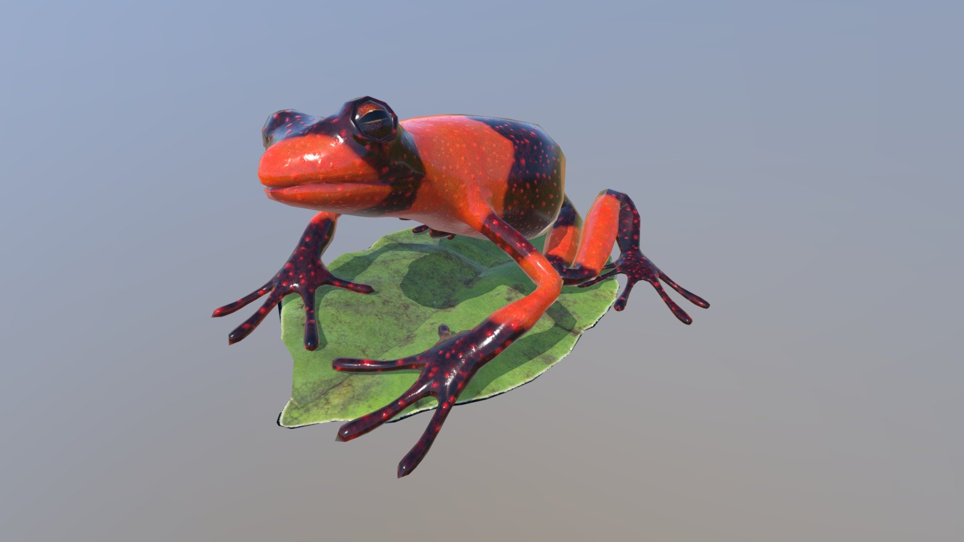 Rana 004 - Download Free 3D model by simondg [5bde3f6] - Sketchfab