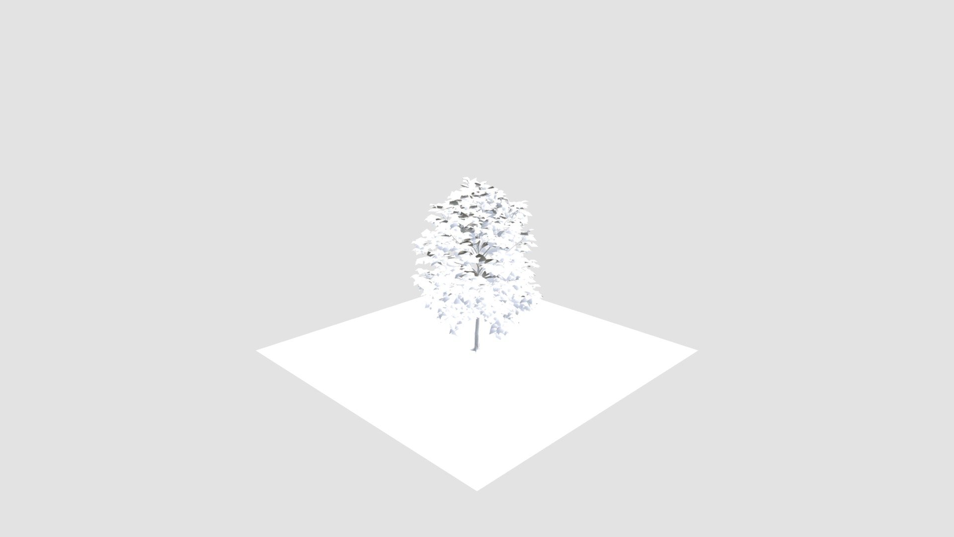Tree for Blender - Buy Royalty Free 3D model by Evermotion [5be9823 ...