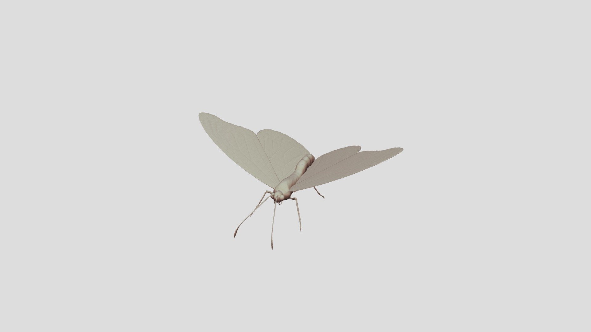 Animated_flying_fluttering_butterfly_loop - 3D model by nrugrim ...