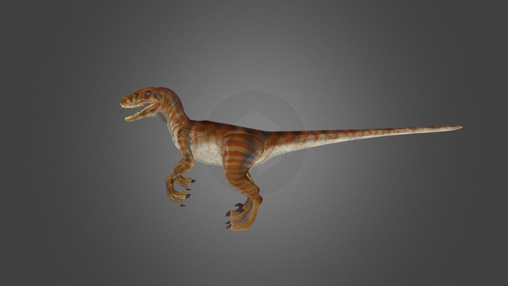dinosaur - A 3D model collection by shihongxi - Sketchfab
