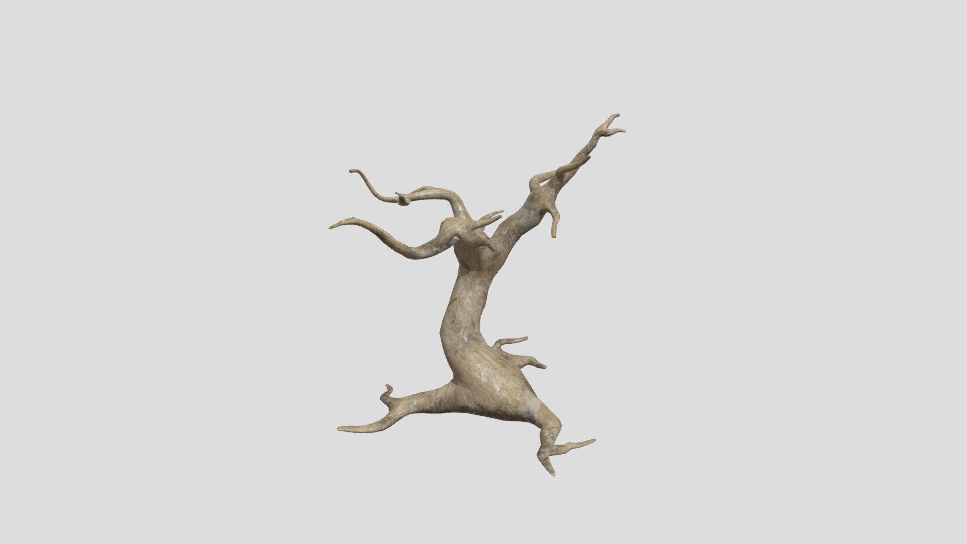 Dead Tree - Download Free 3D model by hayabuzaa [5bed8d7] - Sketchfab