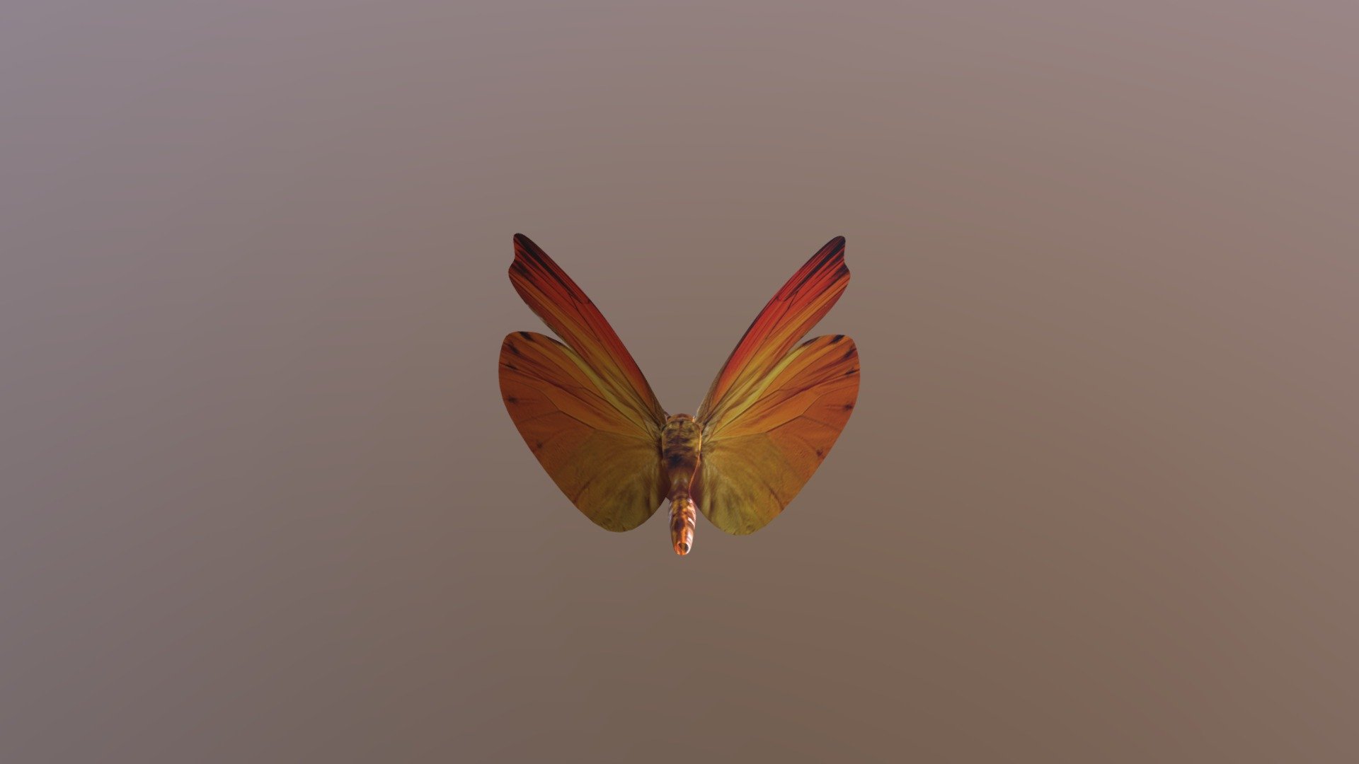Butterfly Animation - Download Free 3D model by TOKUYOMI [5bef6c9 ...