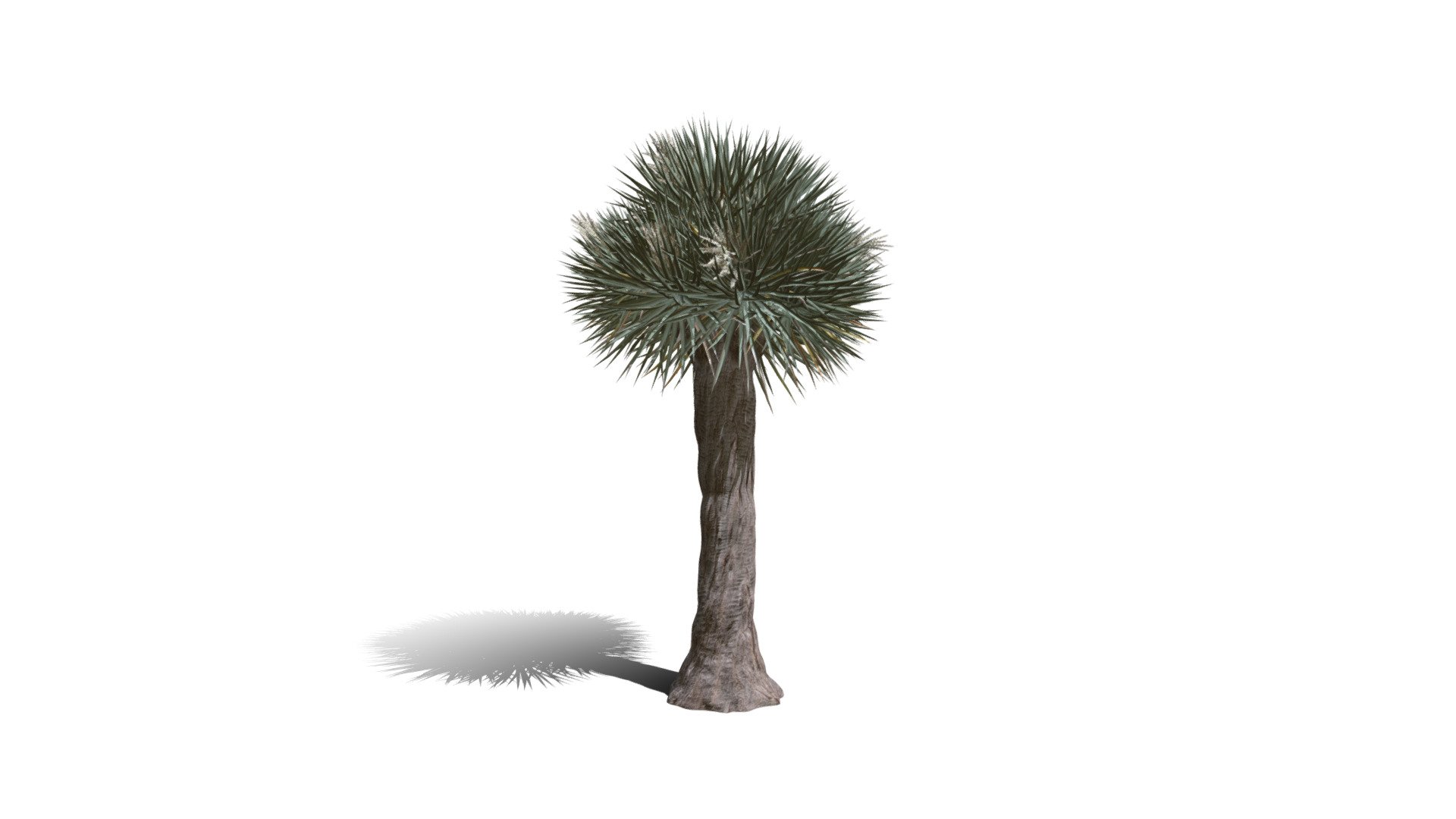 Realistic HD Dragon tree (13/50) - Download Free 3D model by ...