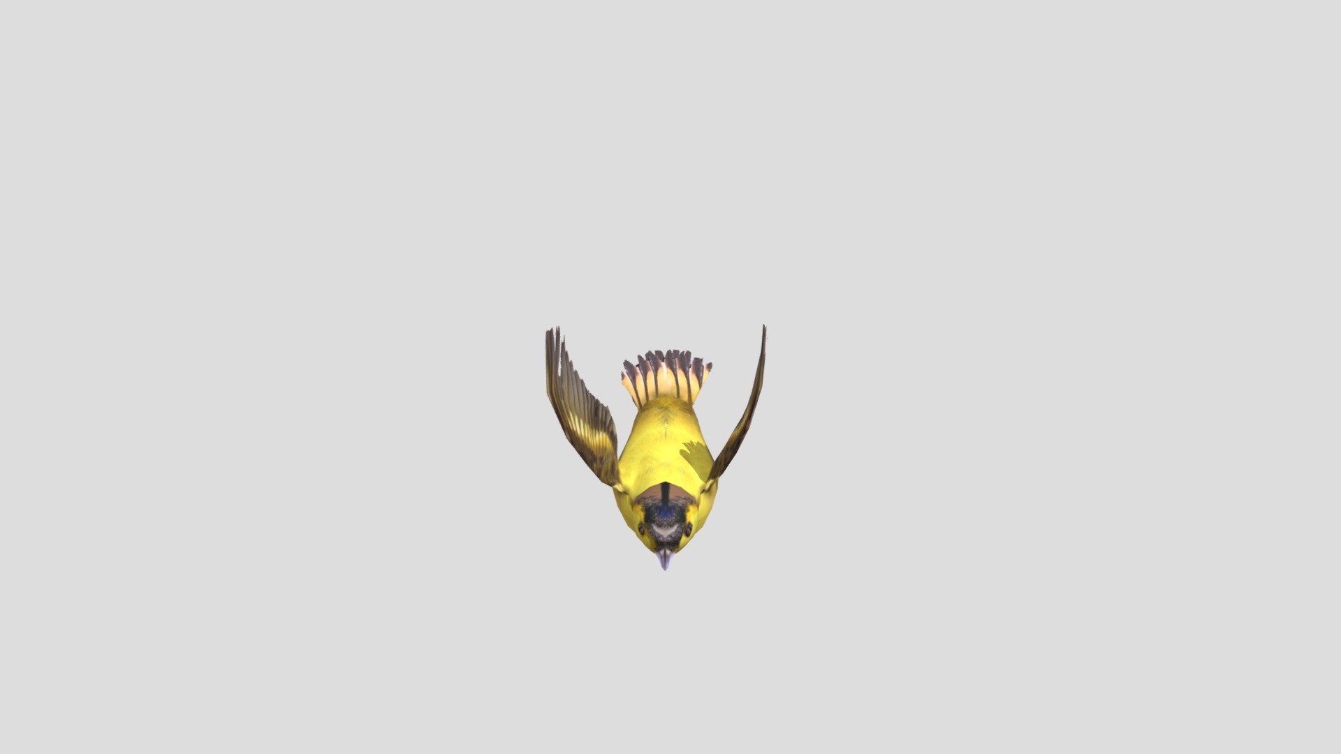 10815632 bird-fly - 3D model by TeaYa1114 [5bf1a07] - Sketchfab