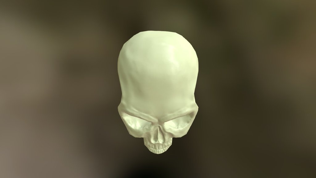 Human Skull - 3D model by jeremy.rothwell [5bf8106] - Sketchfab