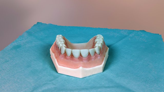 Upper-jaw 3D models - Sketchfab