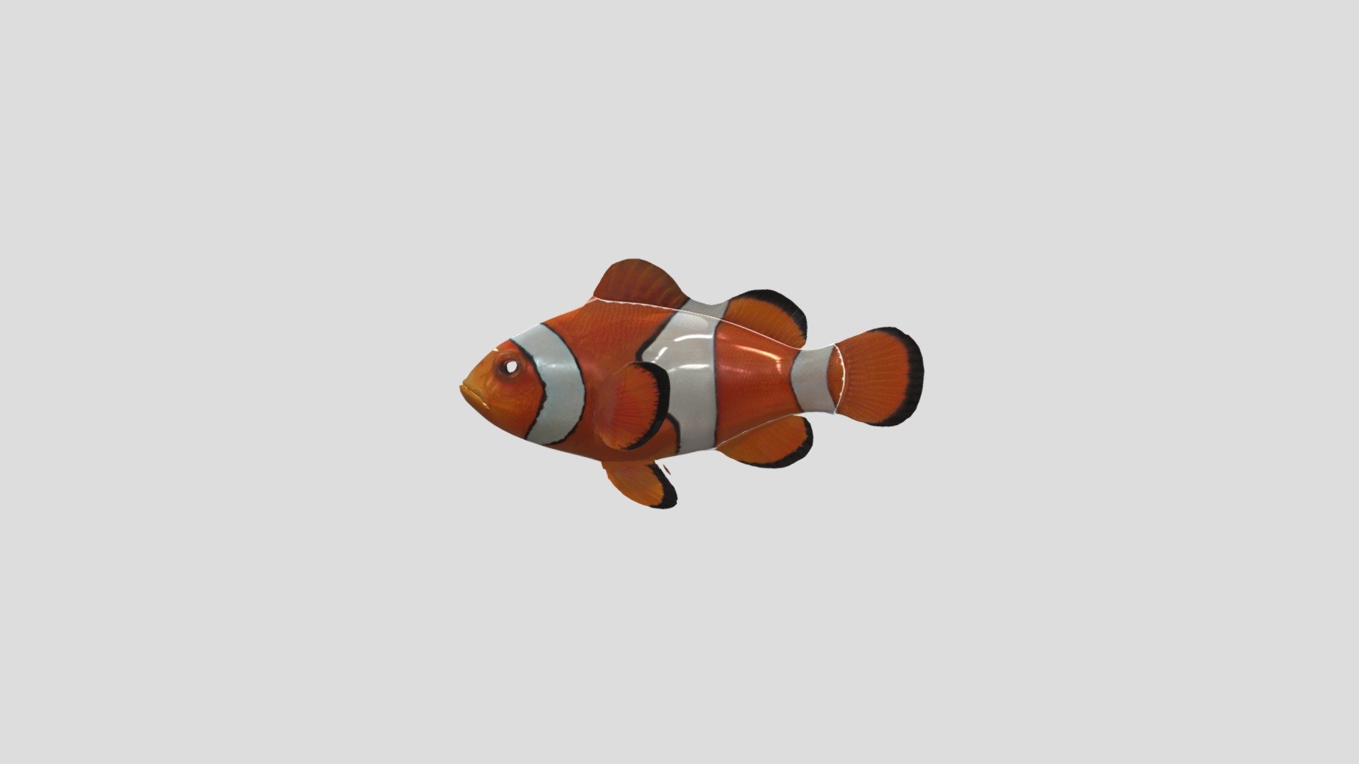 clown_fish - 3D model by srisuwastilis [5c0f5d7] - Sketchfab