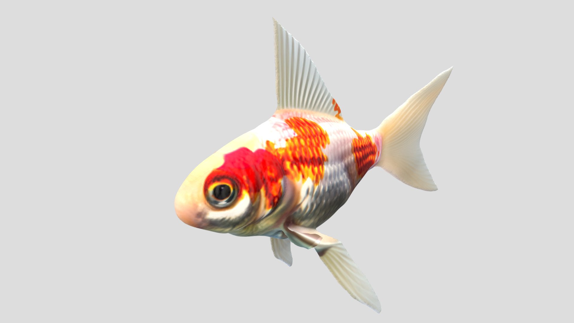 Yet Another Goldfish - Download Free 3D model by sciamop [5c1b779 ...