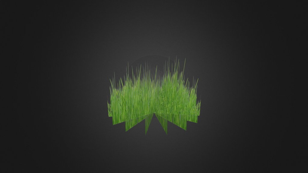 Grass - A 3D model collection by rodgercarr13601 - Sketchfab