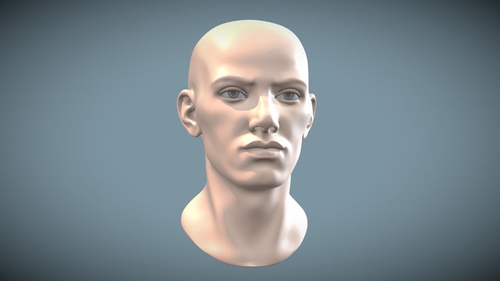 Head 3D models - Sketchfab