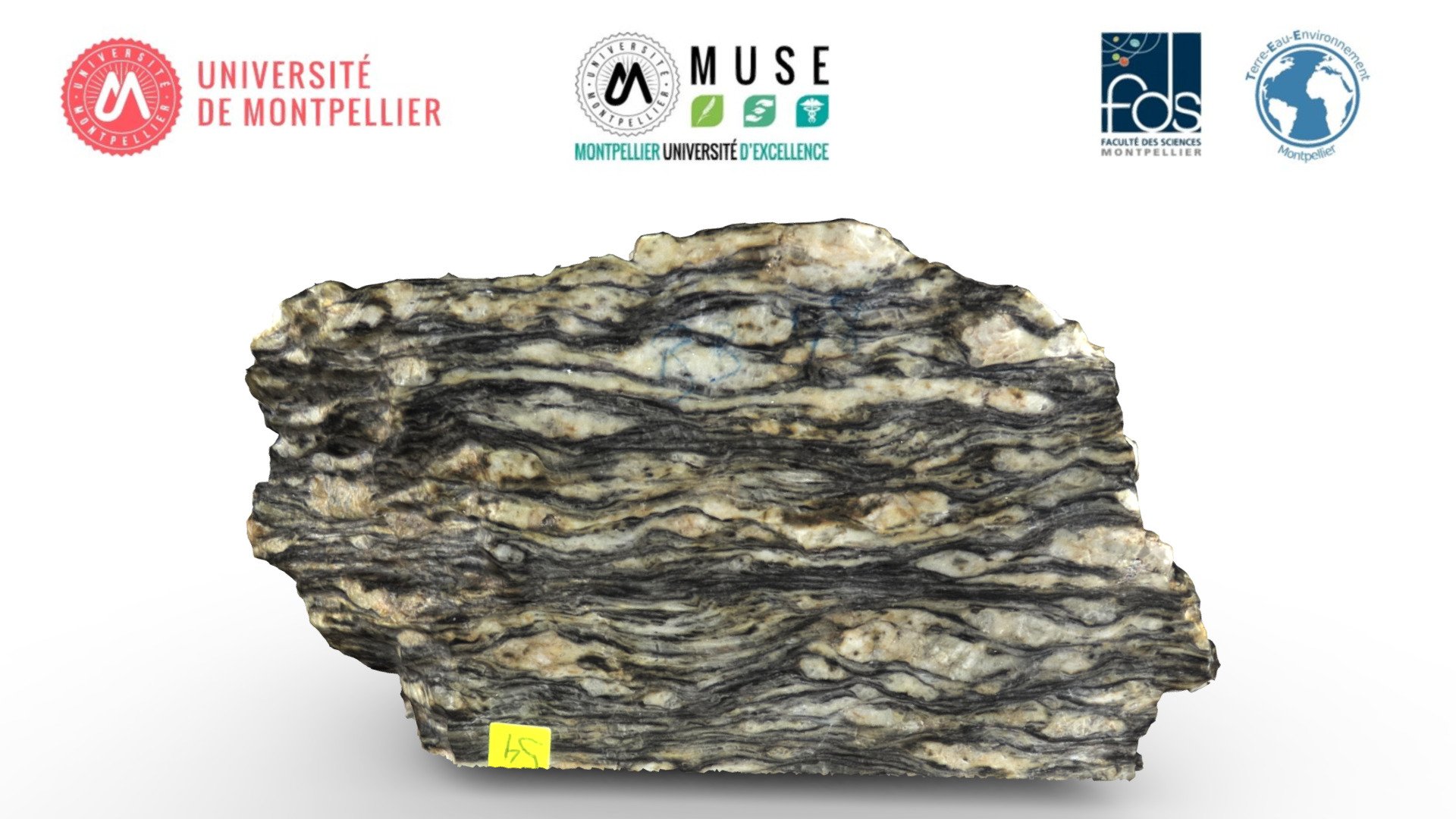 TectoUM - 54 - 3D model by Université Montpellier - Géosciences ...
