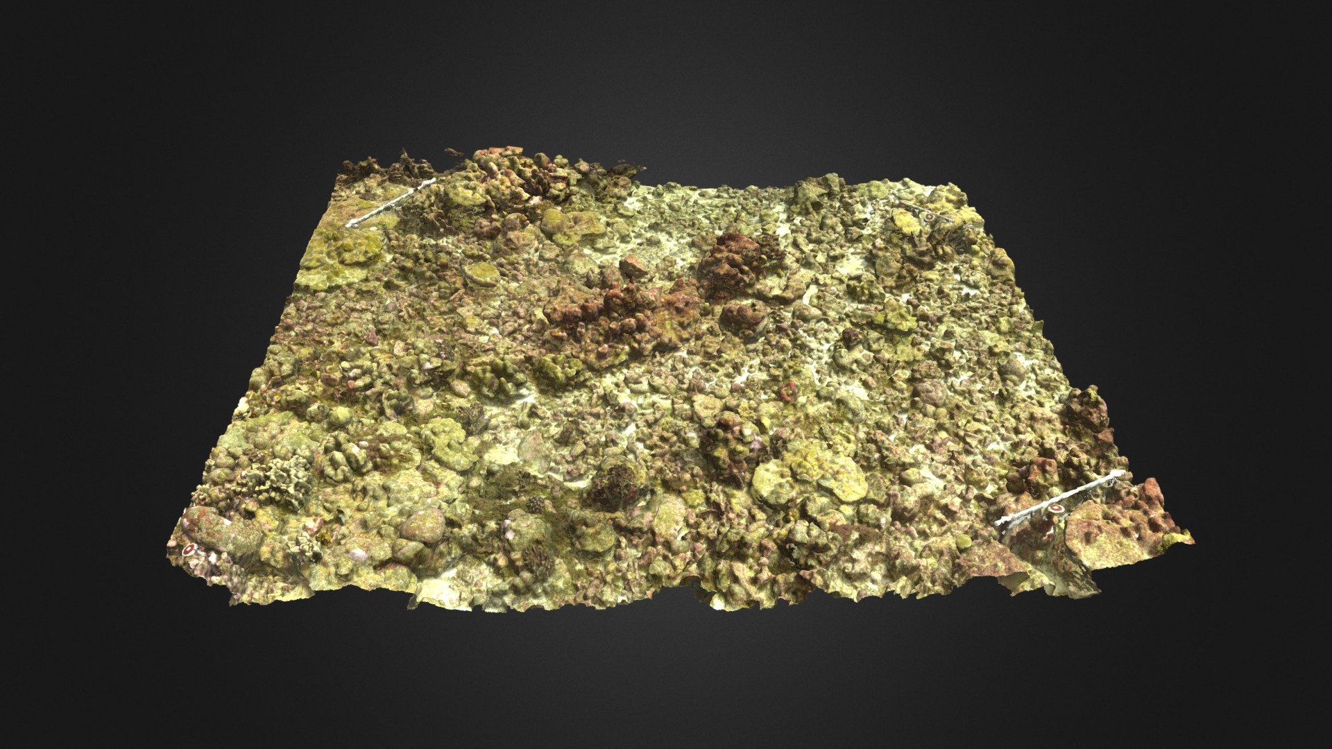 July 2019, north-west reef, Kiritimati, Kiribati - 3D model by baumlab ...