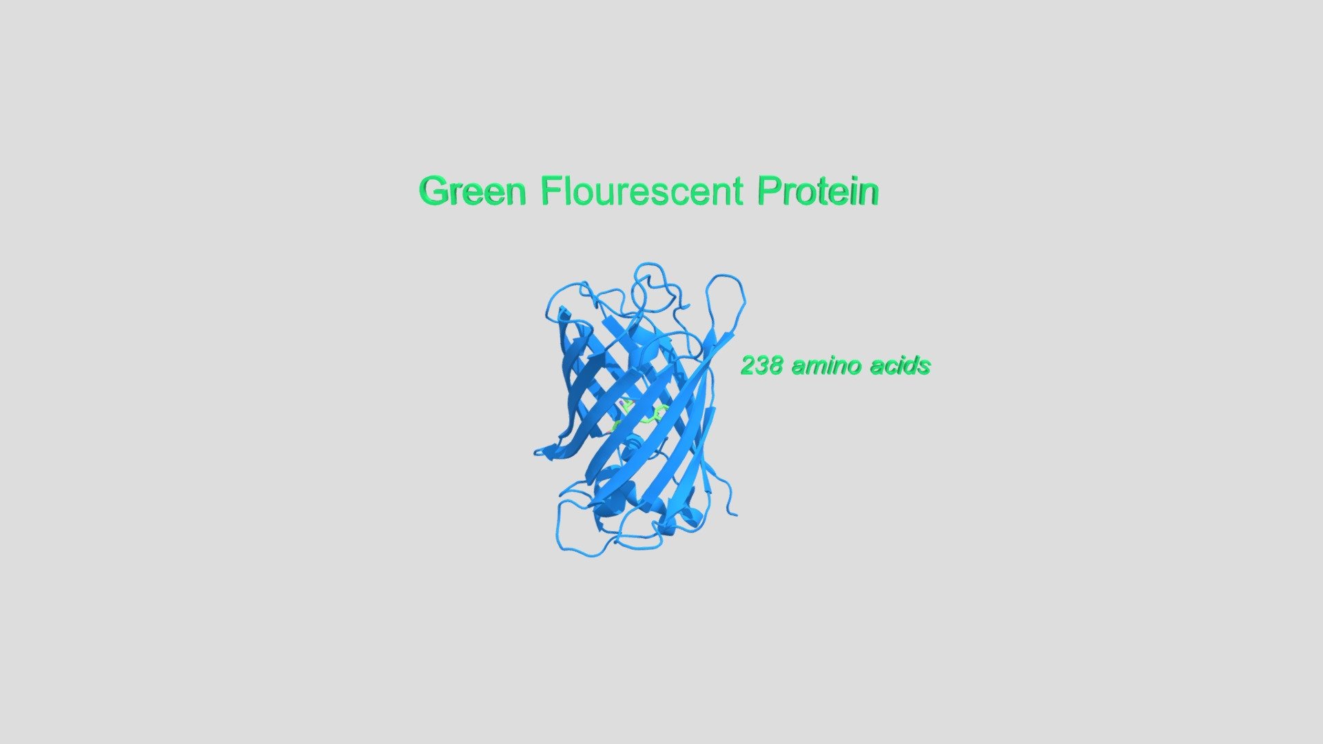 Green Fluorescent Protein (GFP) - Download Free 3D model by ...