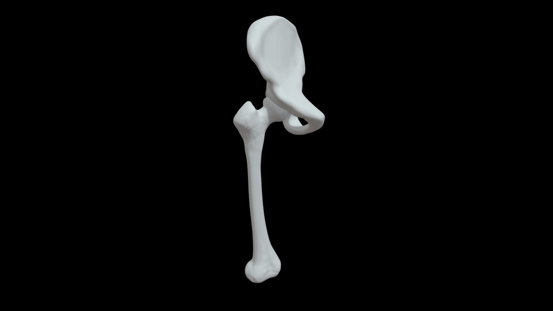 ZBrush & Maya - Hemipelvis & Femur - 3D model by sarahiannucci [5c3e1dd ...