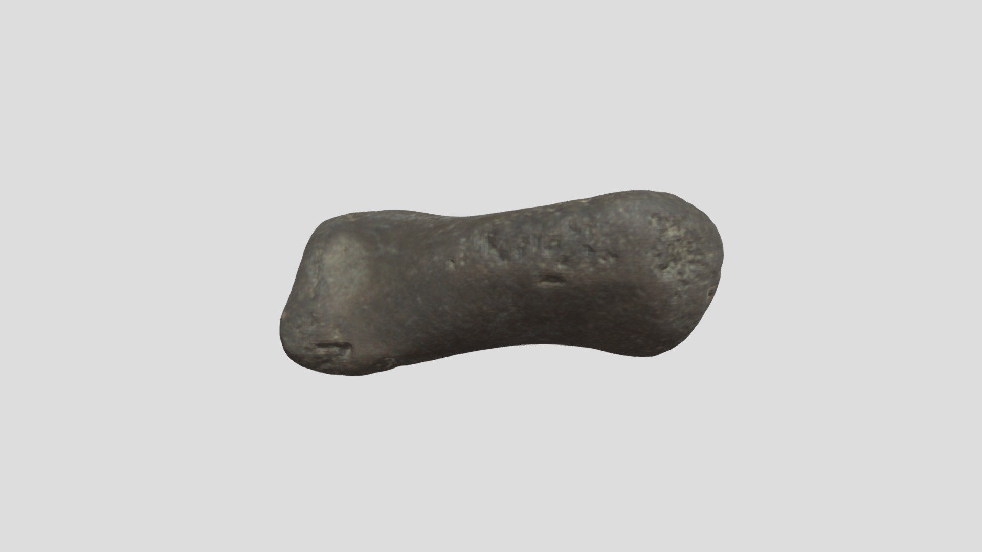 Miocene seal limb bone - Download Free 3D model by MrZeuglodon [5c4436f ...