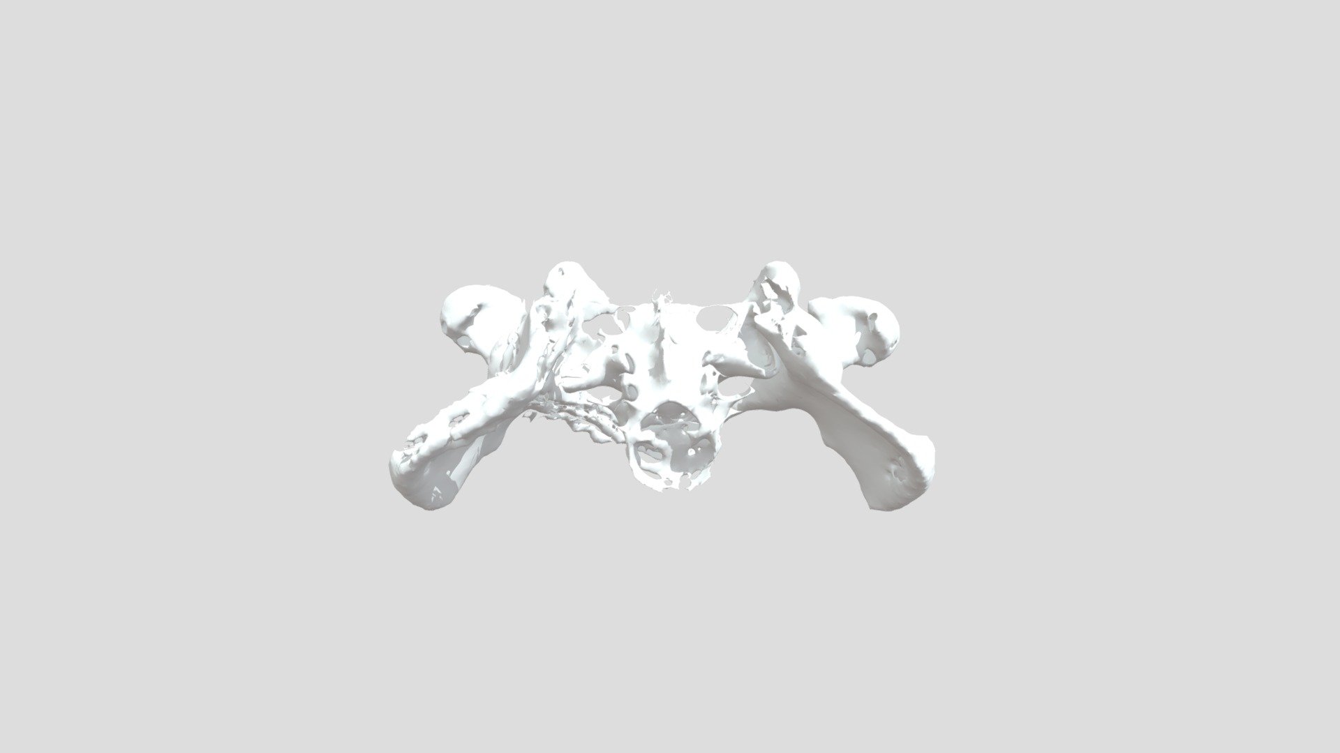 Segmentation - 3D model by marian.ordonez [5c4aa86] - Sketchfab