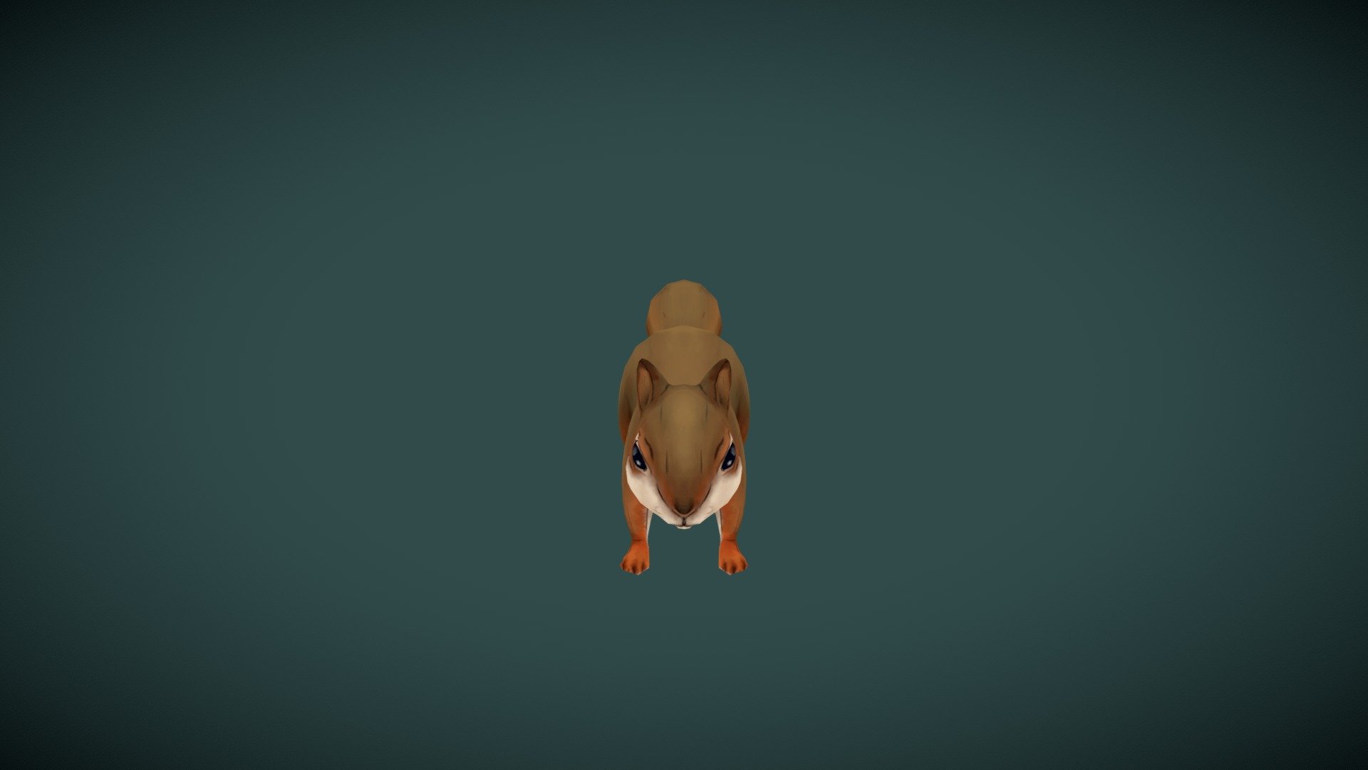 Final Squirrel Model - 3D model by alexrowe0621 [5c4c44a] - Sketchfab
