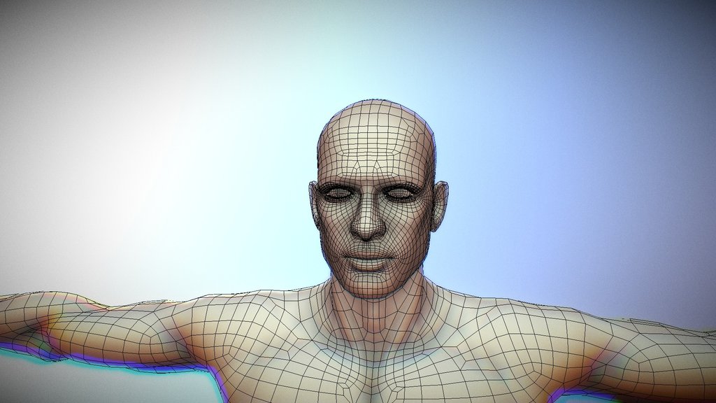 human - A 3D model collection by seulki1107a - Sketchfab