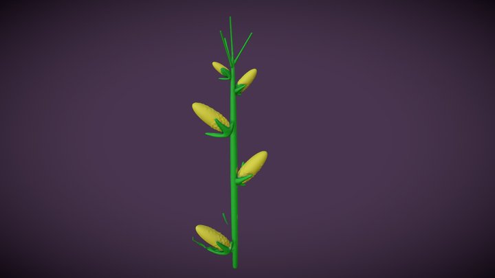 Cornplant 3D models - Sketchfab