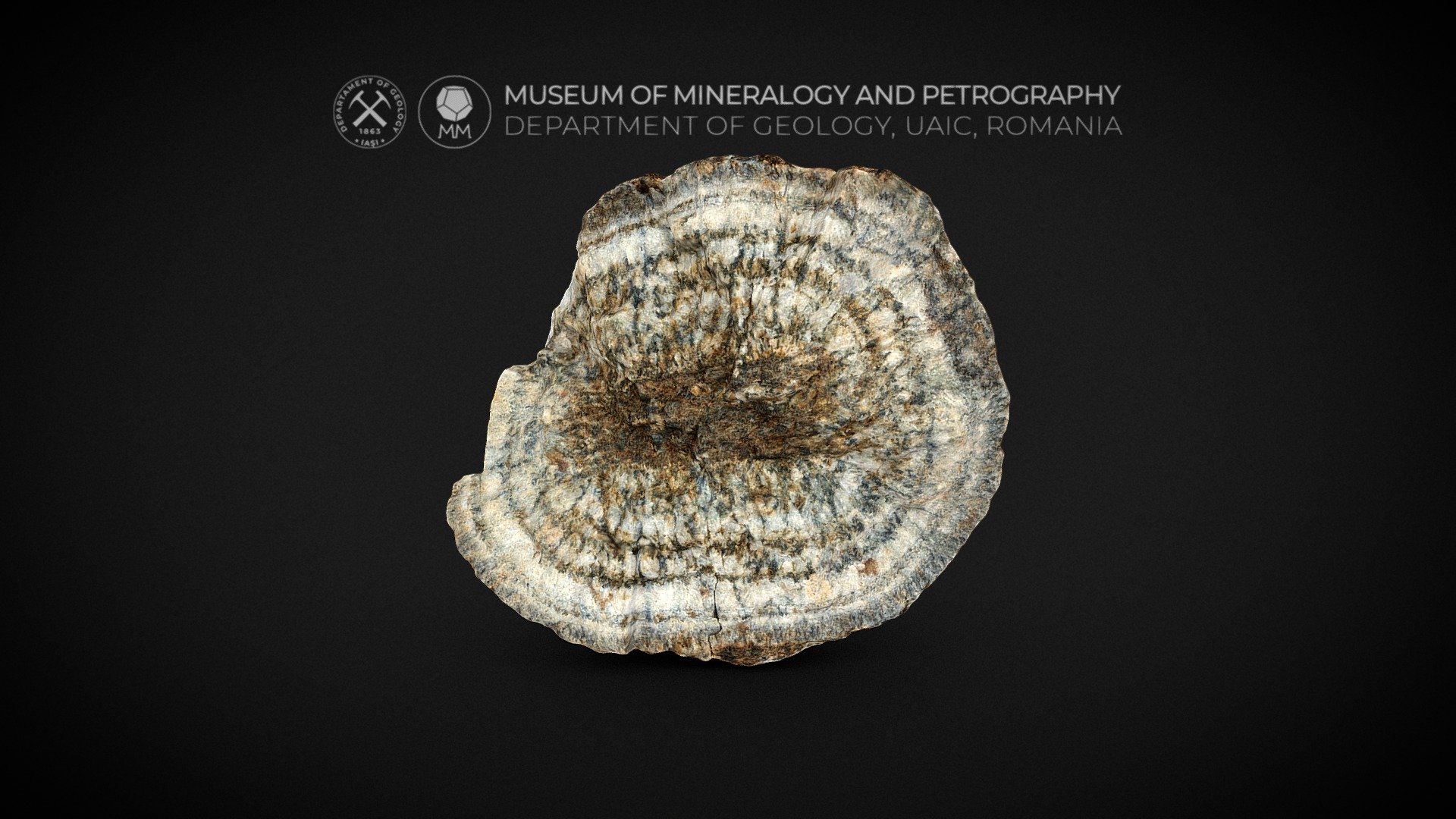 Orbiculite (Orbicular Granite) - 3D model by Museum of Mineralogy and ...