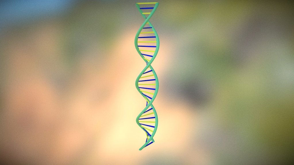 DNA Project - 3D model by splatas [5c5eec8] - Sketchfab