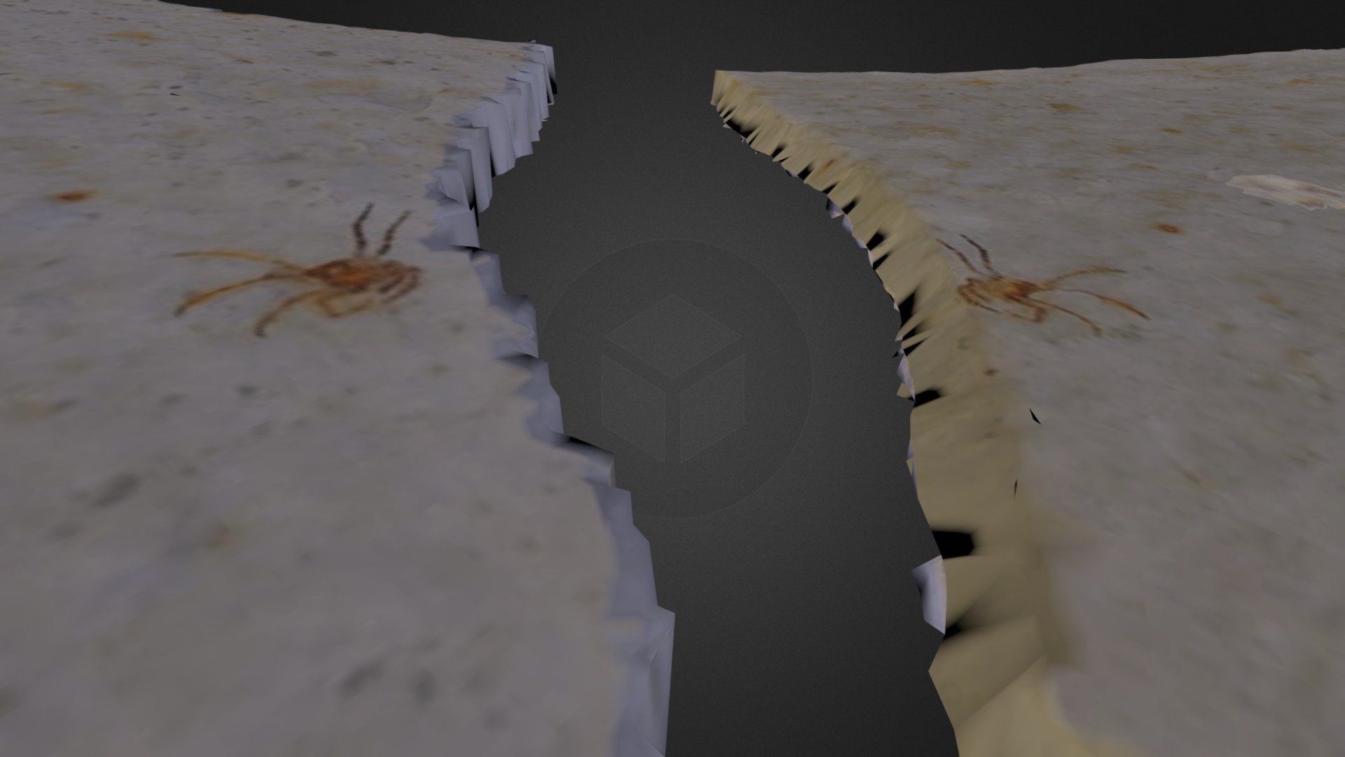 SPIDER (Two Pairs) - 3D model by 3D Fossils (@conqueror78) [5c6a941 ...