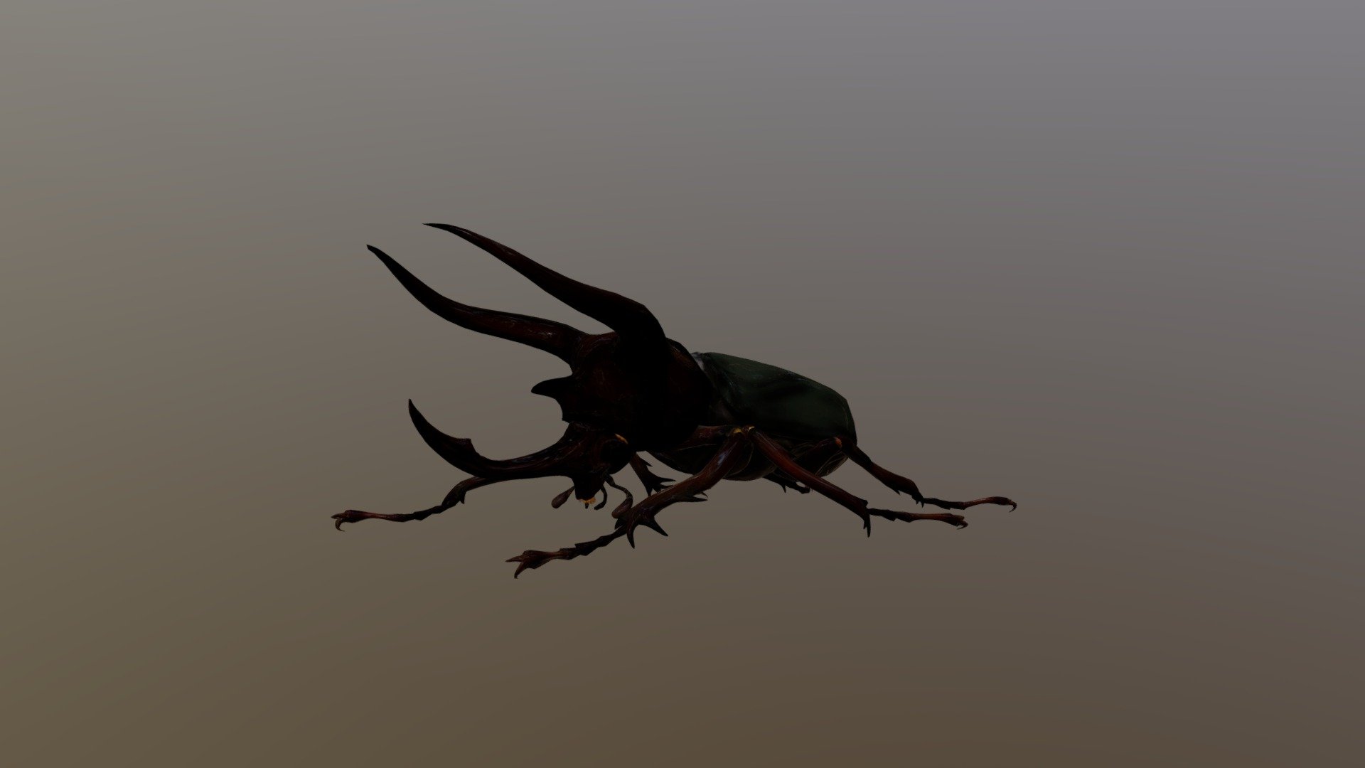 Atlas Bettle - 3D model by kenchoo [5c78f75] - Sketchfab