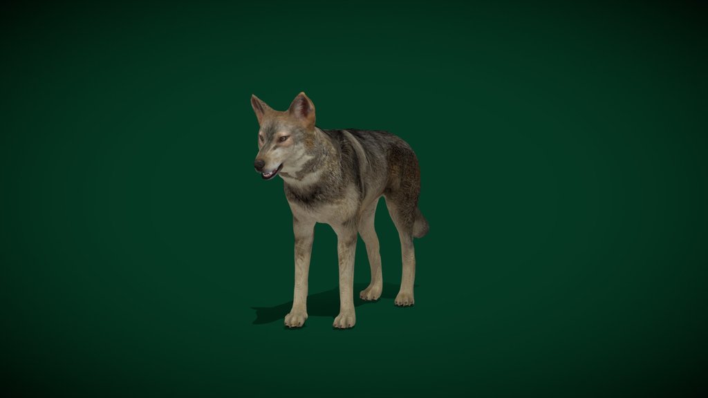 Animals - A 3D model collection by ManillaKnight (@gonzalez99f) - Sketchfab