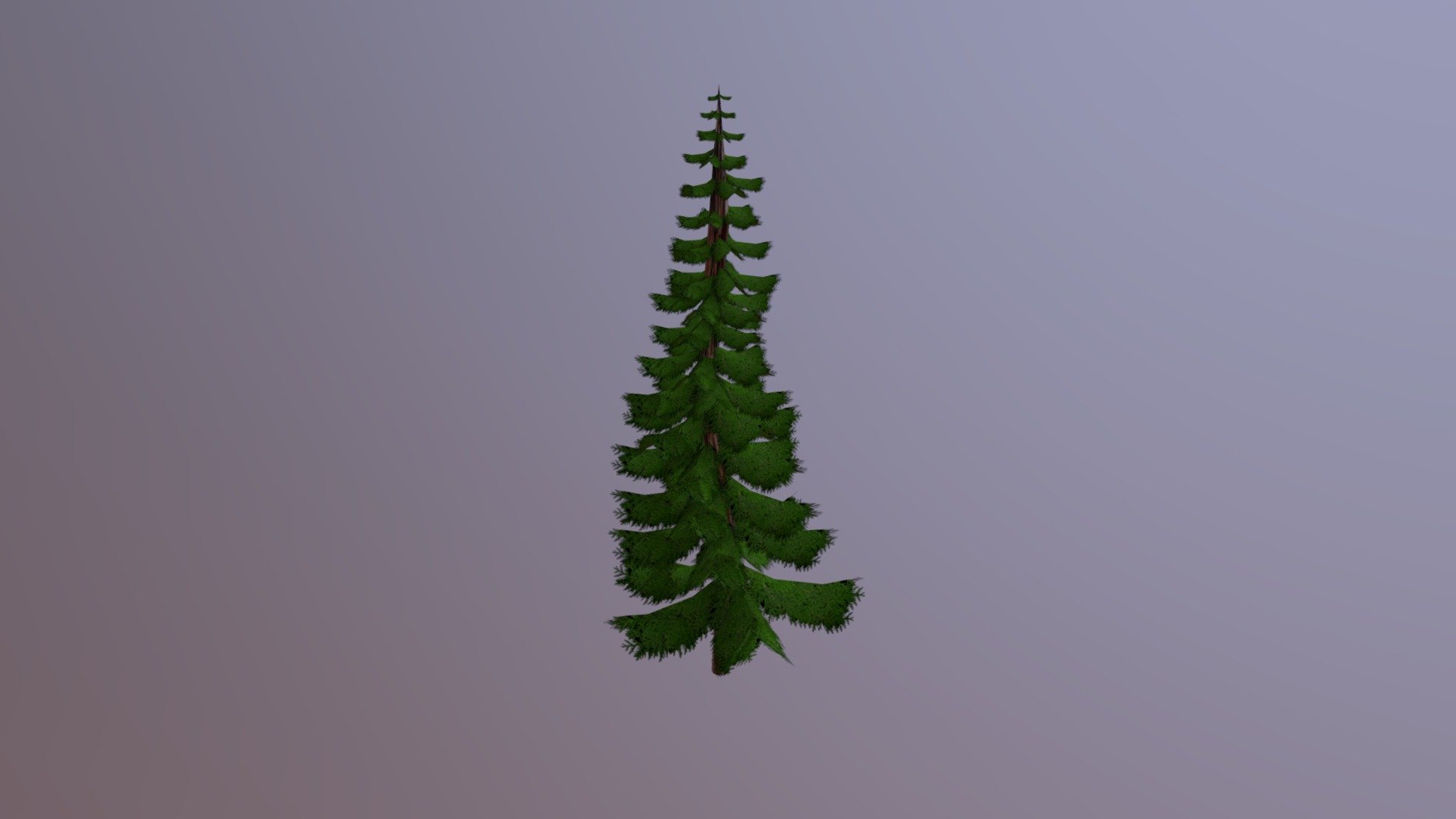 Fir Tree - 3D model by Merlin535 [5c869a5] - Sketchfab