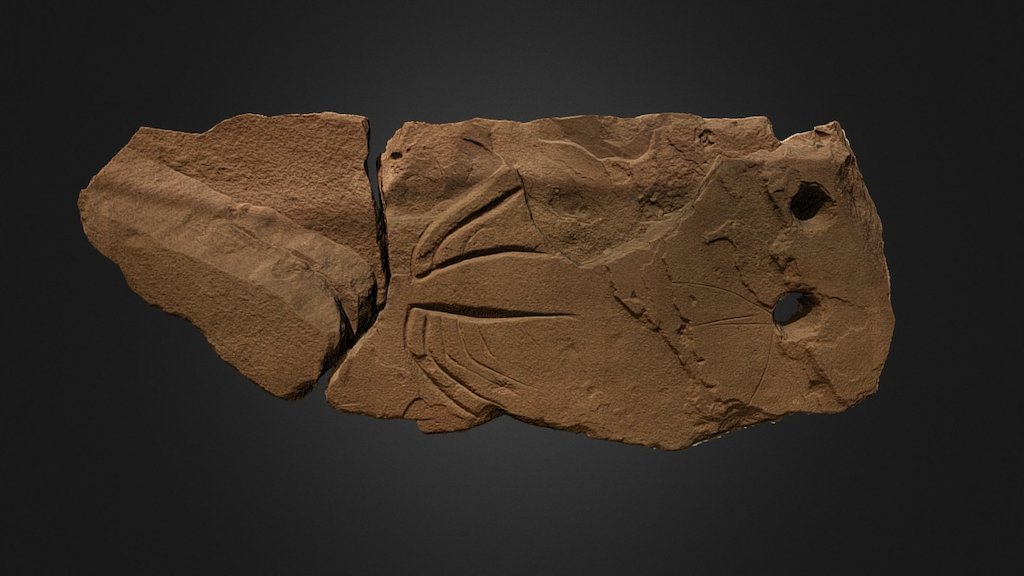 Balblair Decorated Stone Cist - Download Free 3D model by Dr Hugo ...