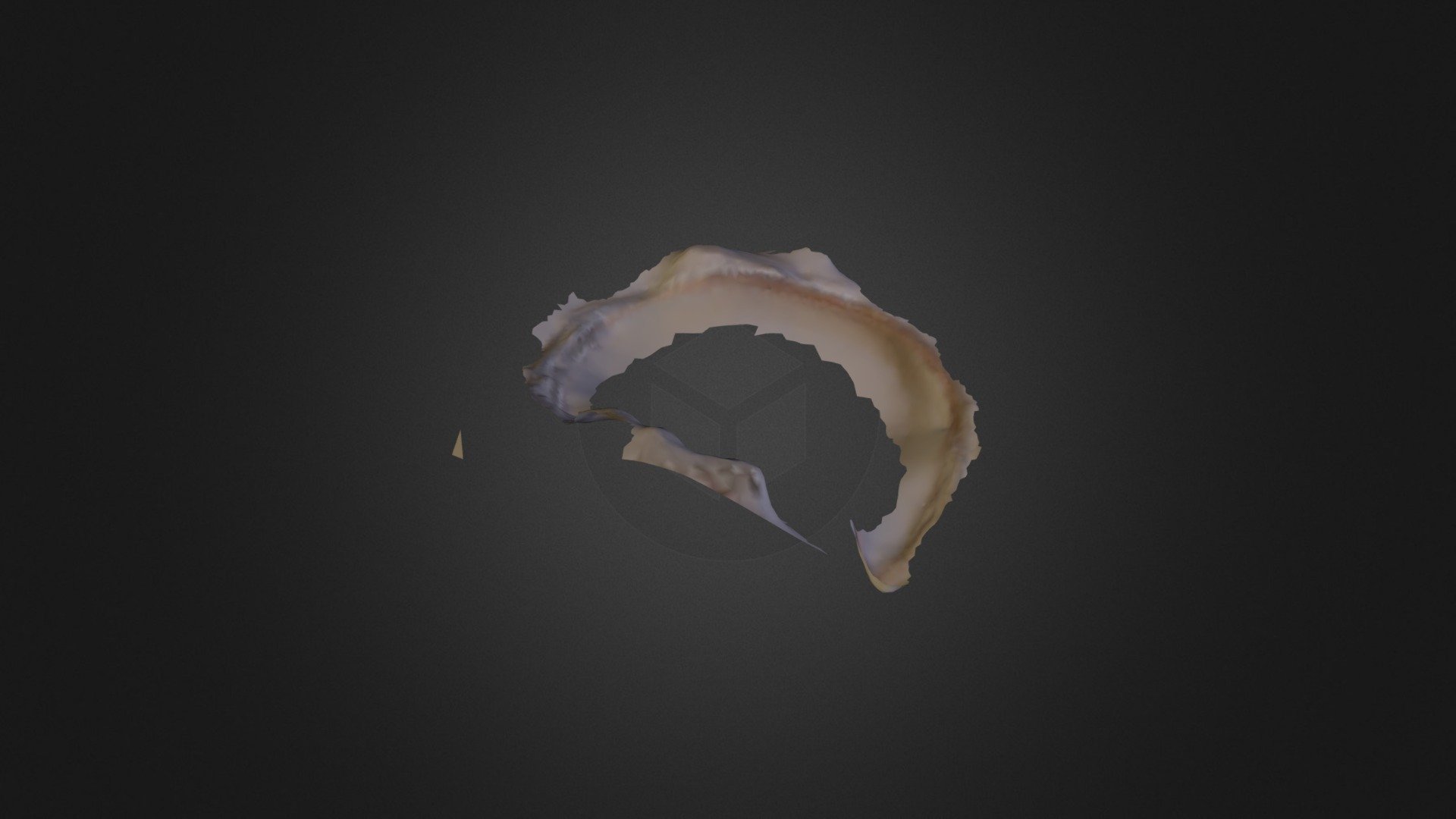 Tiny - 3D model by mccafferty [5c9549f] - Sketchfab