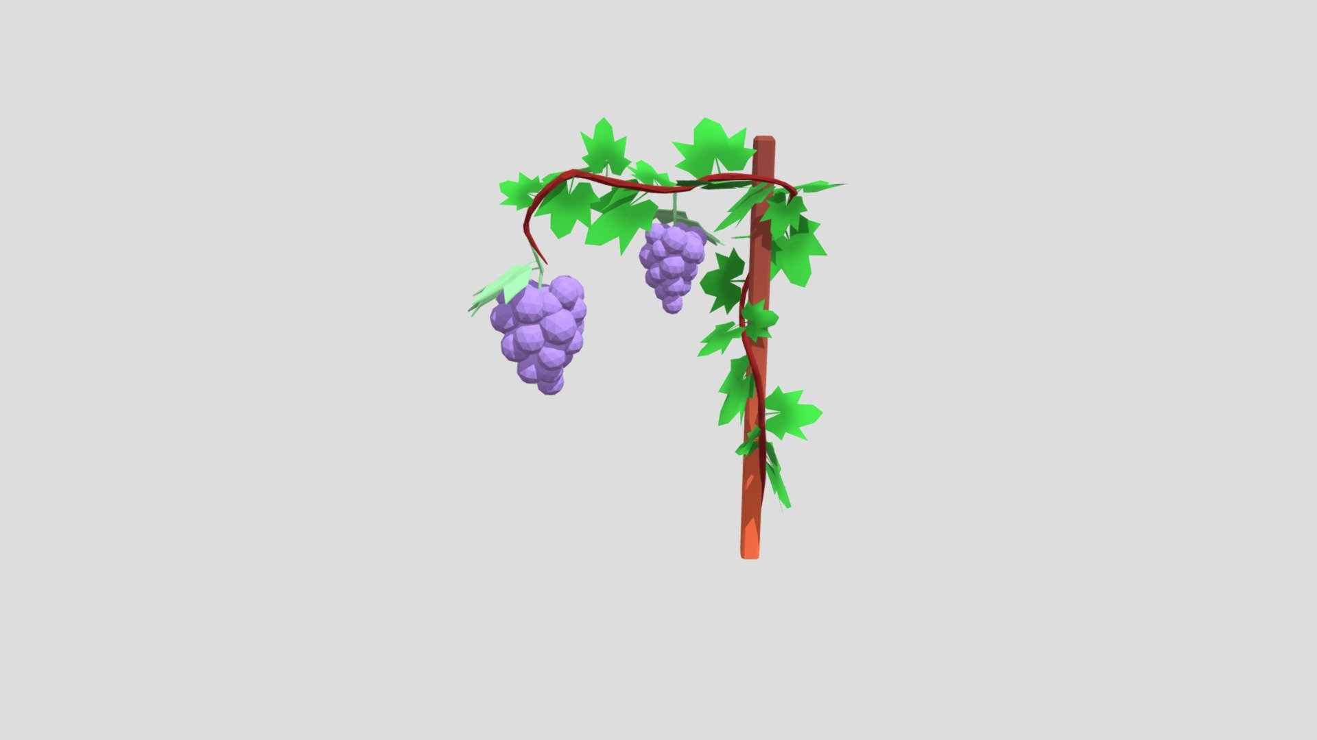 Grapevine - Download Free 3D model by tranewon [5cae1fa] - Sketchfab