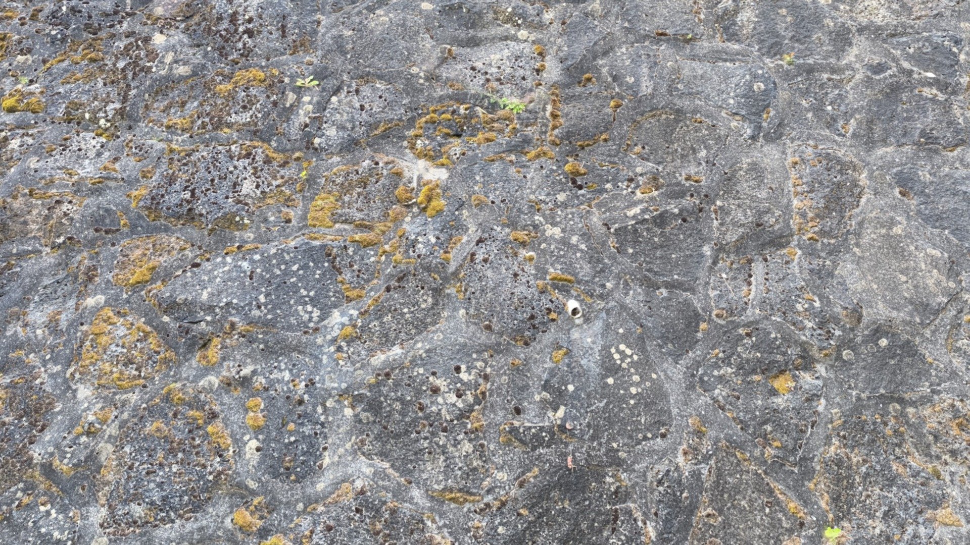 Volcanic Brick Flush Wall - Download Free 3D model by MattMakesSwords ...