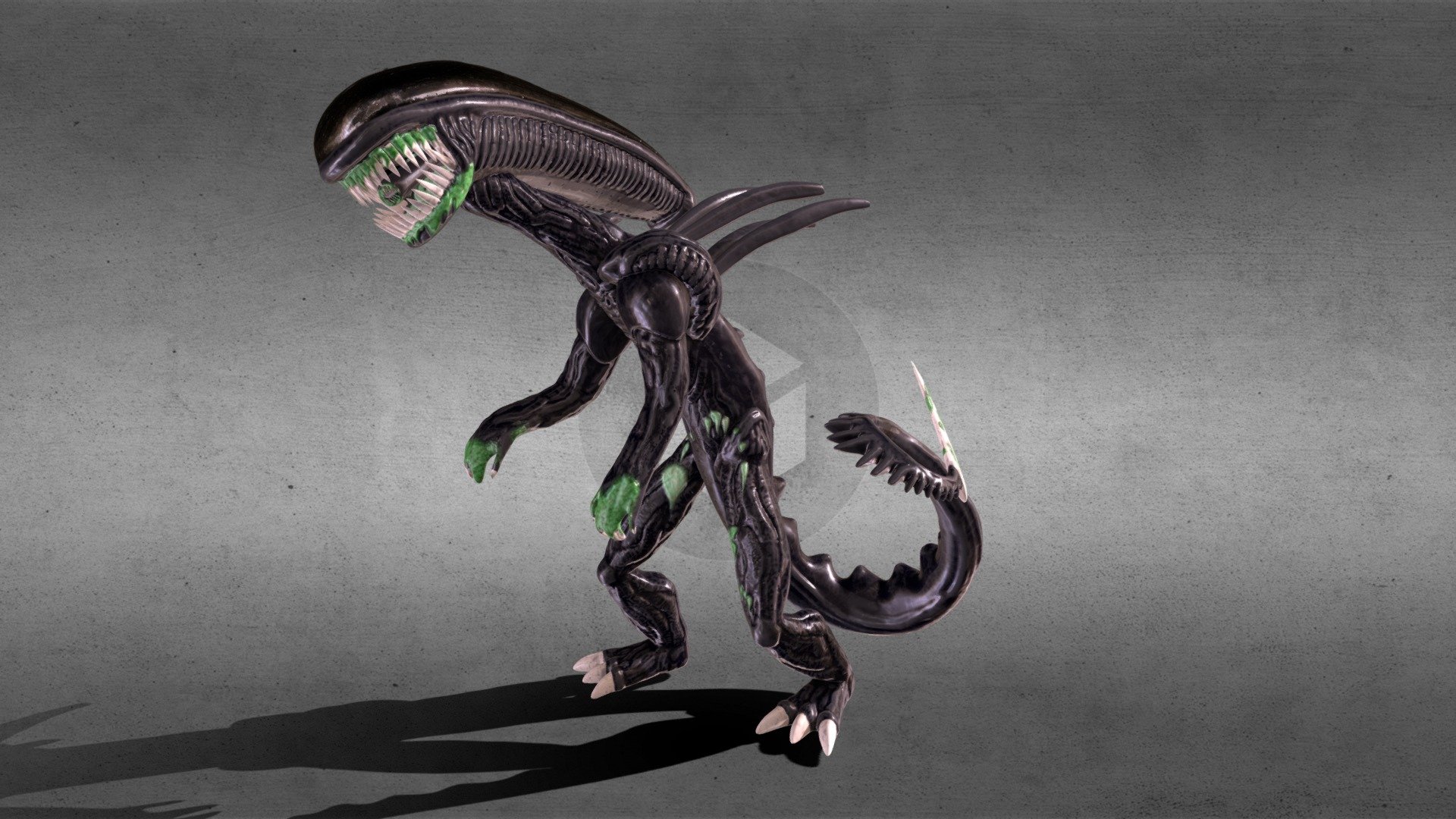Xenomorph Skull 3d Model
