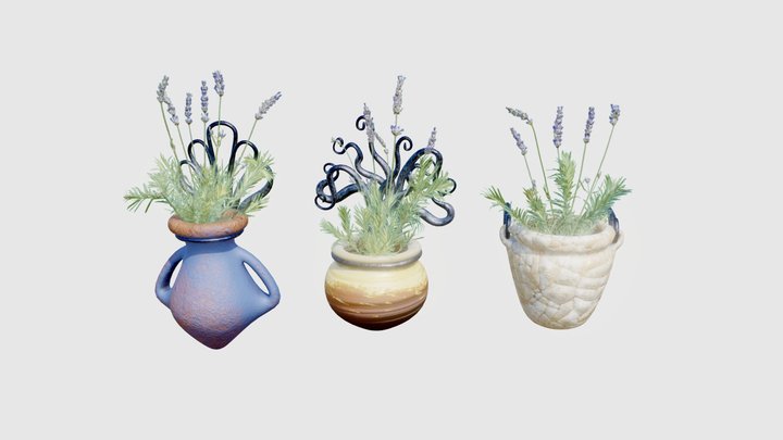 Lavender 3D models - Sketchfab