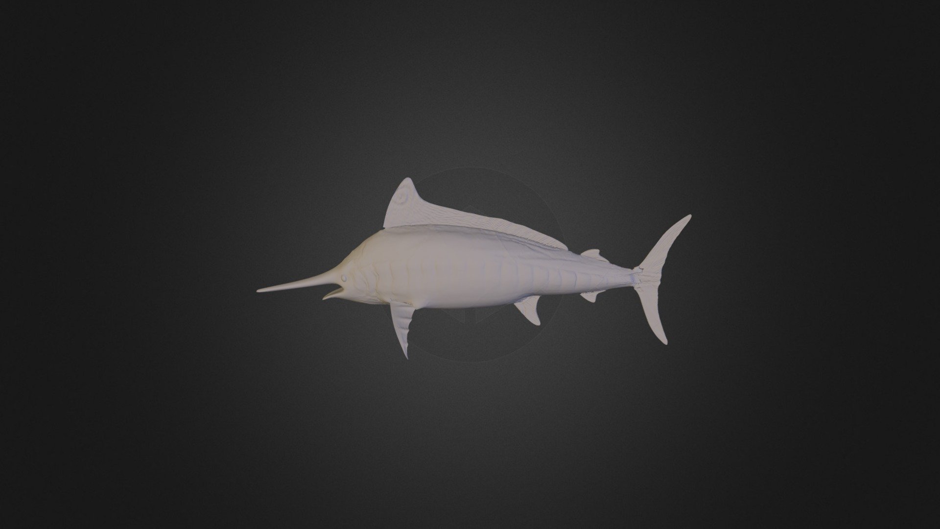 Swordfish - Download Free 3D model by poiuyt [5cc53db] - Sketchfab