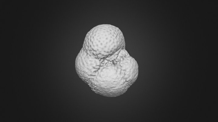 Calcifier 3D models - Sketchfab