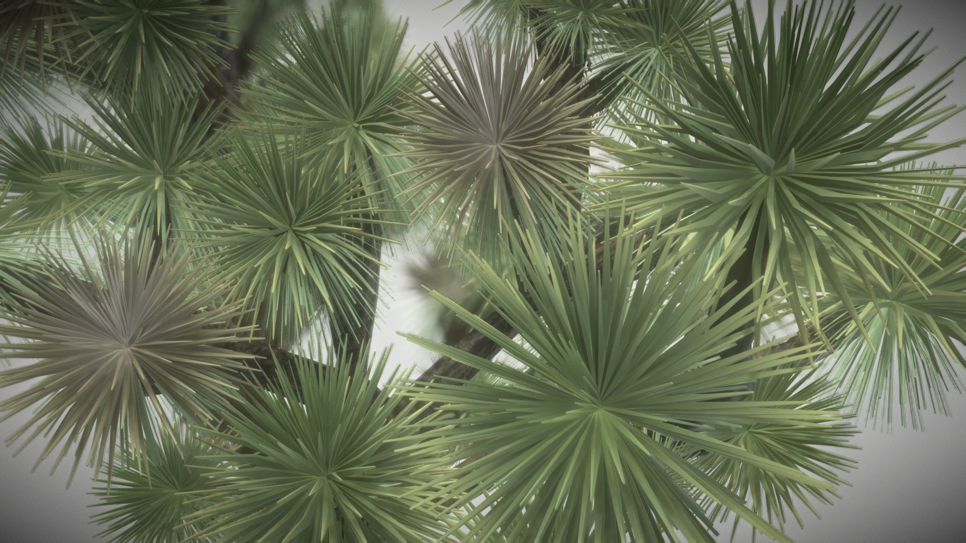 Joshua Tree - 3D model by Kailash H Kanojia (@KailashHKanojia) [5cce94a ...