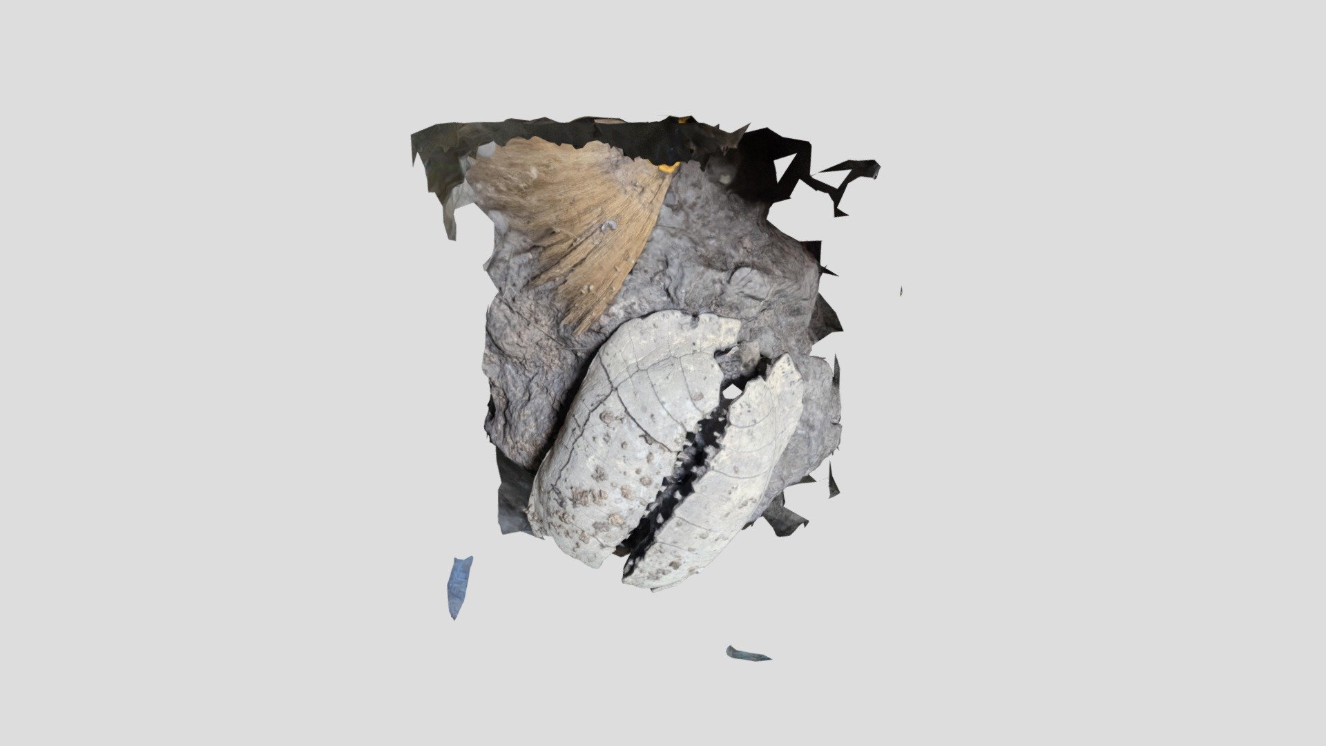 My magnificent 3D reconstruction - 3D model by Andrew.Cowie1 [5cd47a8 ...