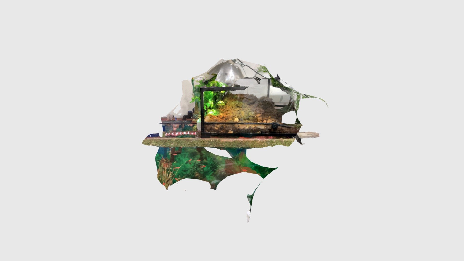 Turtle tank - Download Free 3D model by Wmv3 [5cd91c7] - Sketchfab