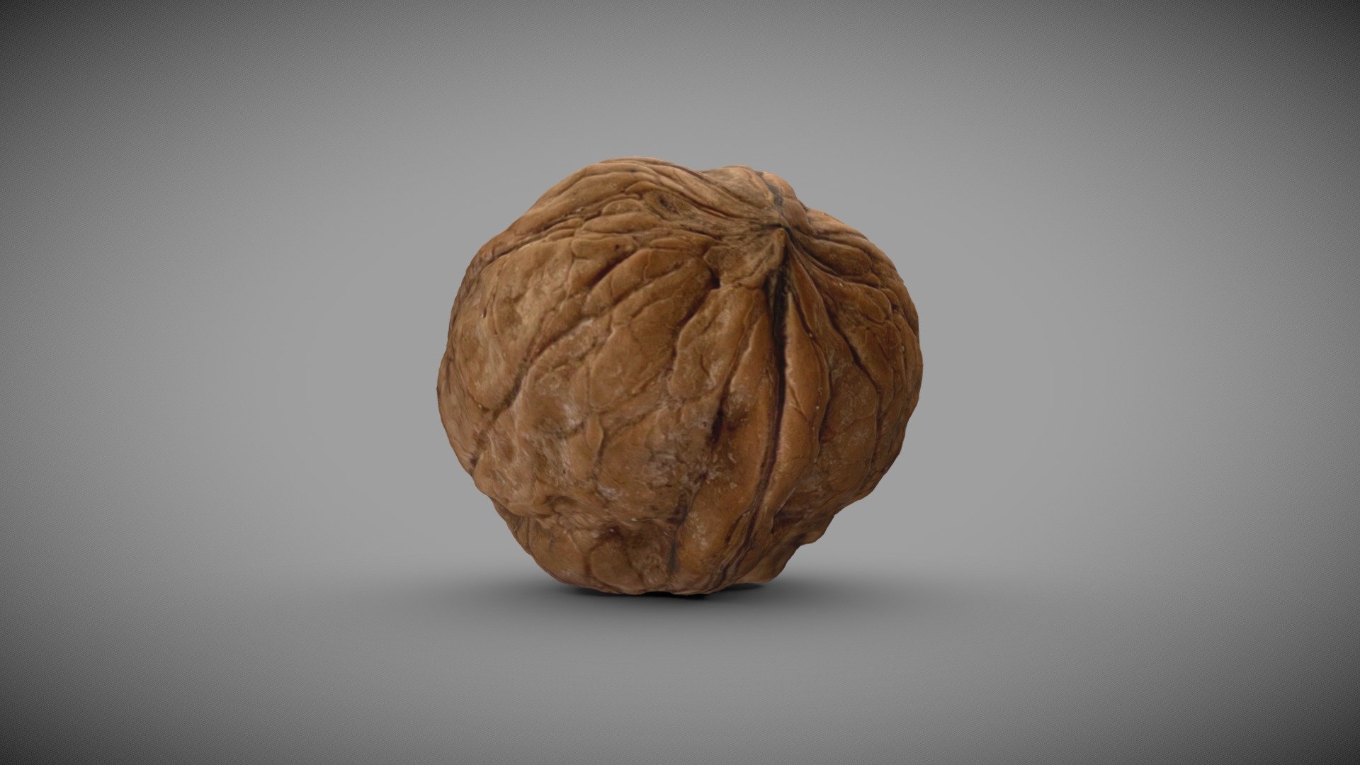 Walnut Single HighQuality 01 - 3D model by mel-schneider (@cgigraphix ...