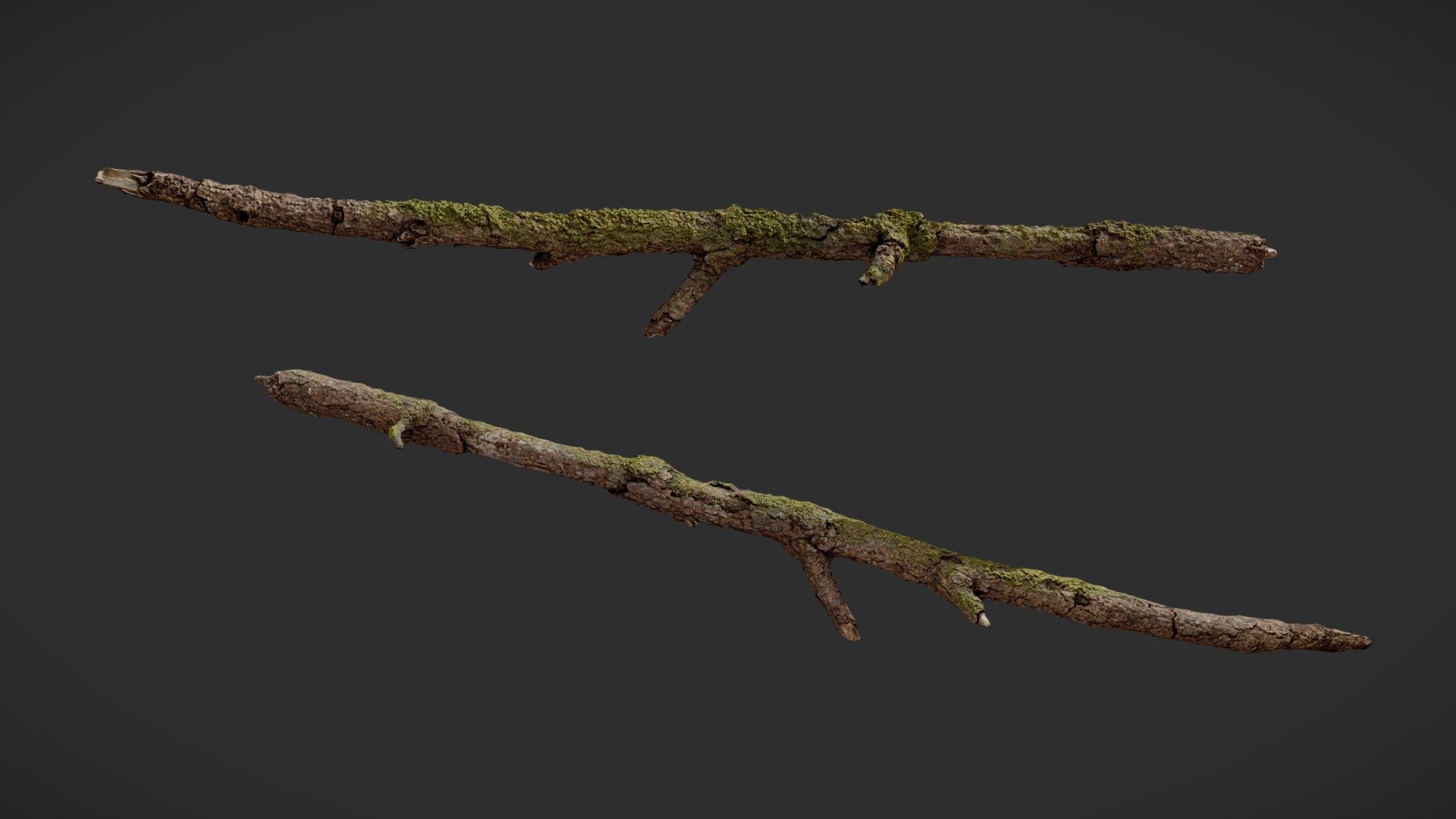 Mossy rotten Branch Vol.9 - Buy Royalty Free 3D model by Paul (@nathan ...