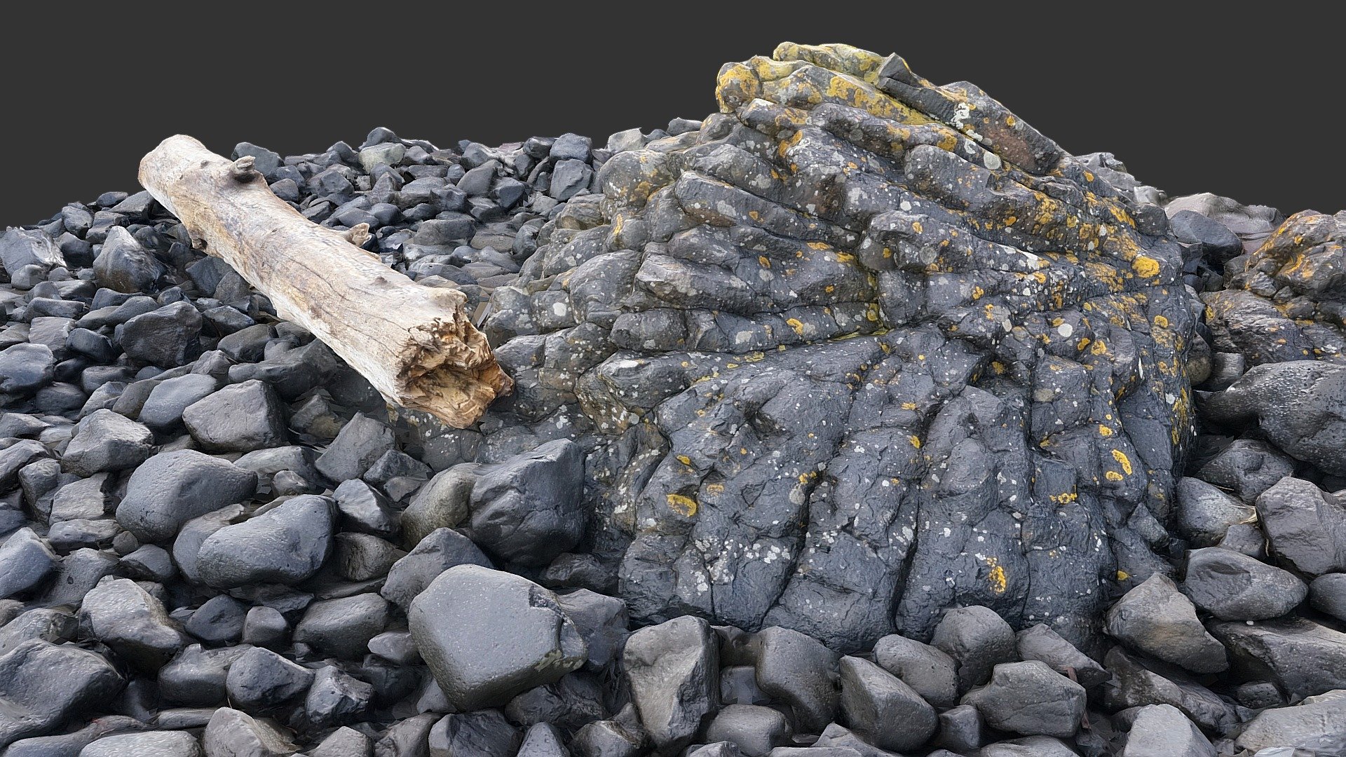 Basalt Rocks and Driftwood - Download Free 3D model by b_nealie ...