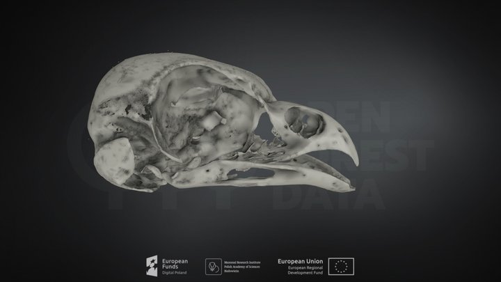 Primeval 3D models - Sketchfab