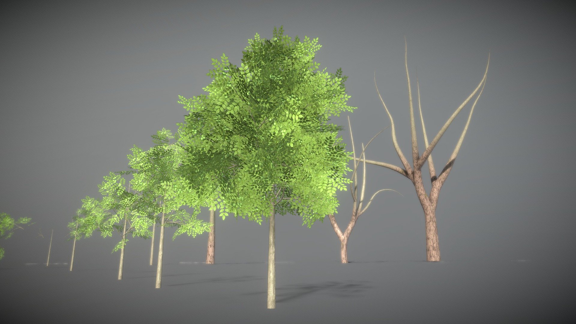 Low-Poly Walnut Trees (WIP-2) - 3D model by VIS-All-3D (@VIS-All ...
