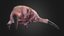 Headcrab 4K textures - Free - Download Free 3D model by marc3_C ...
