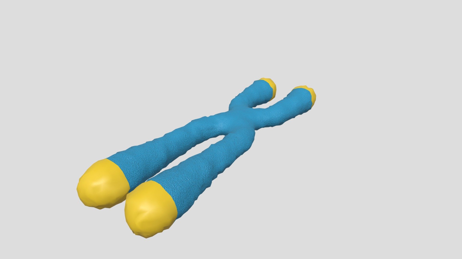 chromosome - 3D model by Pun1shR [5cfa47f] - Sketchfab